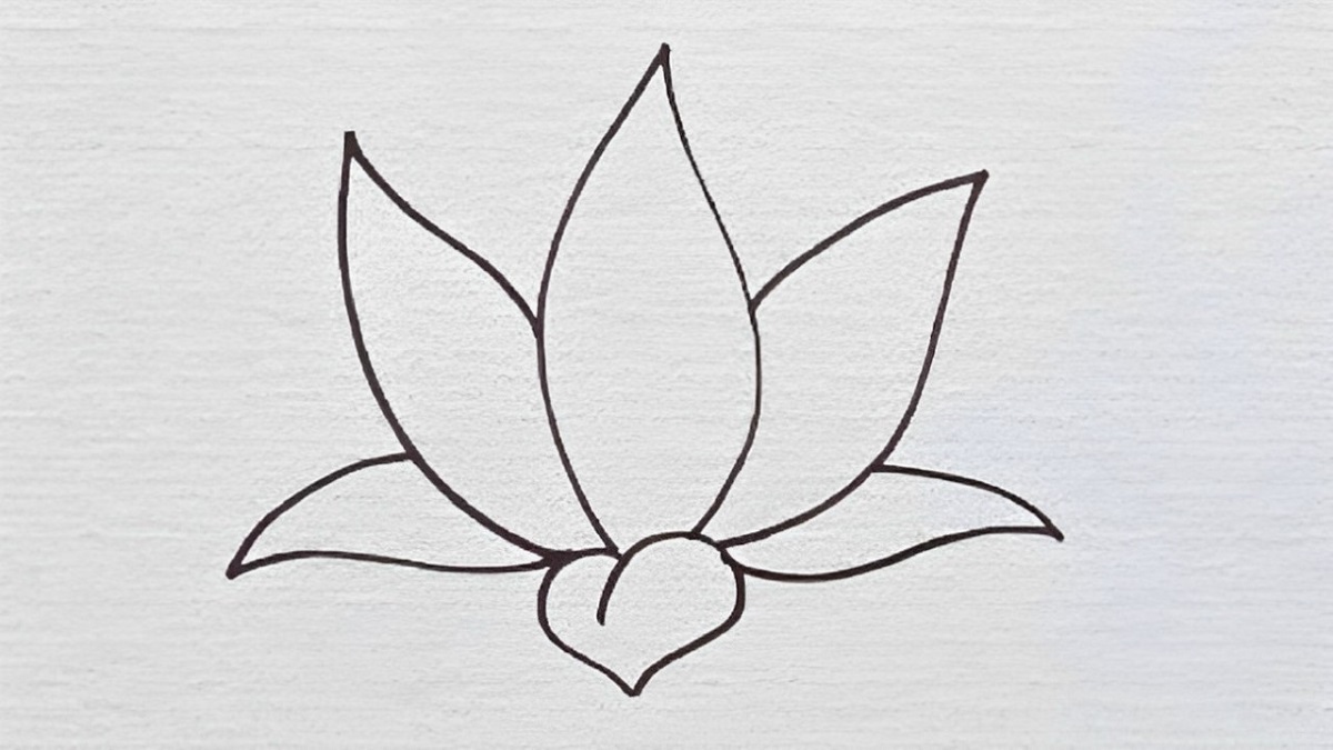 Vẽ hoa sen: 20 cách vẽ đẹp, đơn giản dễ dàng thực hiện